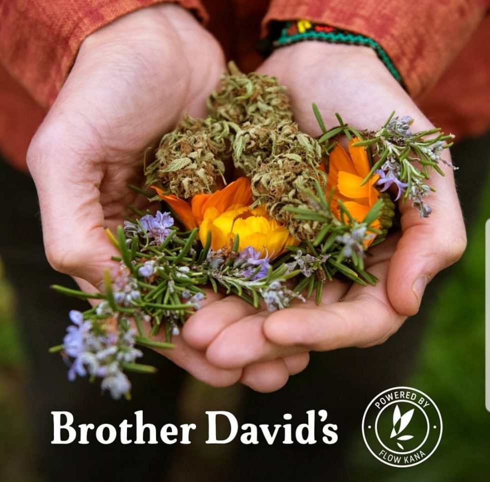 Our Cannabis - Happy Day Farms